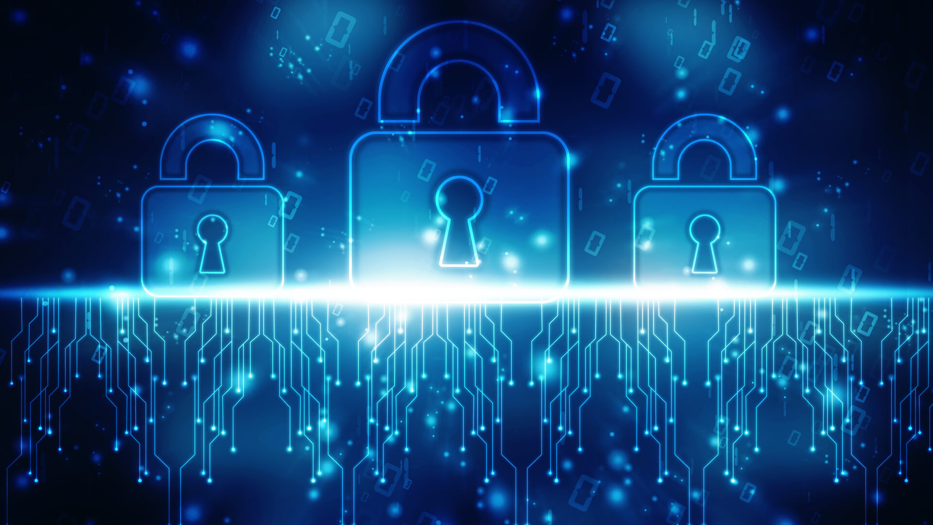 5 personal (and cheap) data privacy tools that scale for business